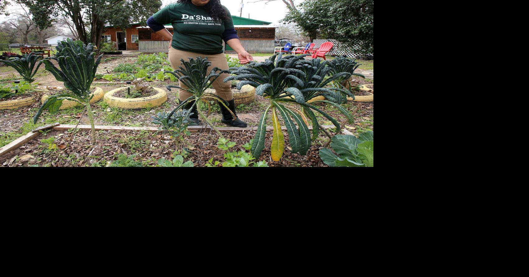 Da' Shack Farmers Market open for the season