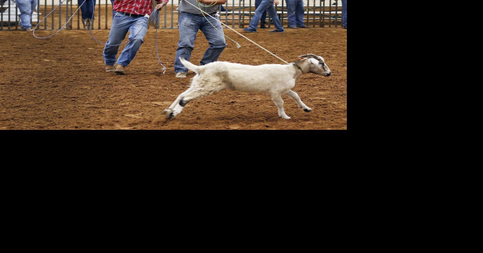 Sponsors, cowboys team up to rope goats at HOT Fair