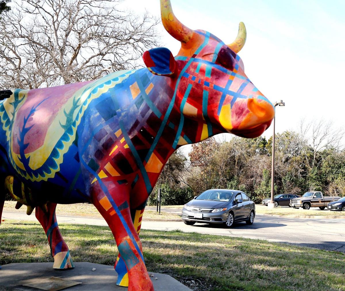 Where have the WaCows gone? Tracking down Waco’s colorful 2000 project ...