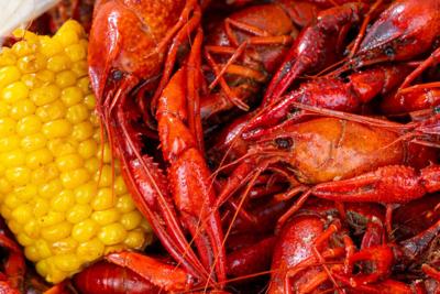 Multiple factors, including severe drought, result in meager crawfish ...