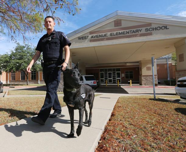 Waco ISD introduces new police dog