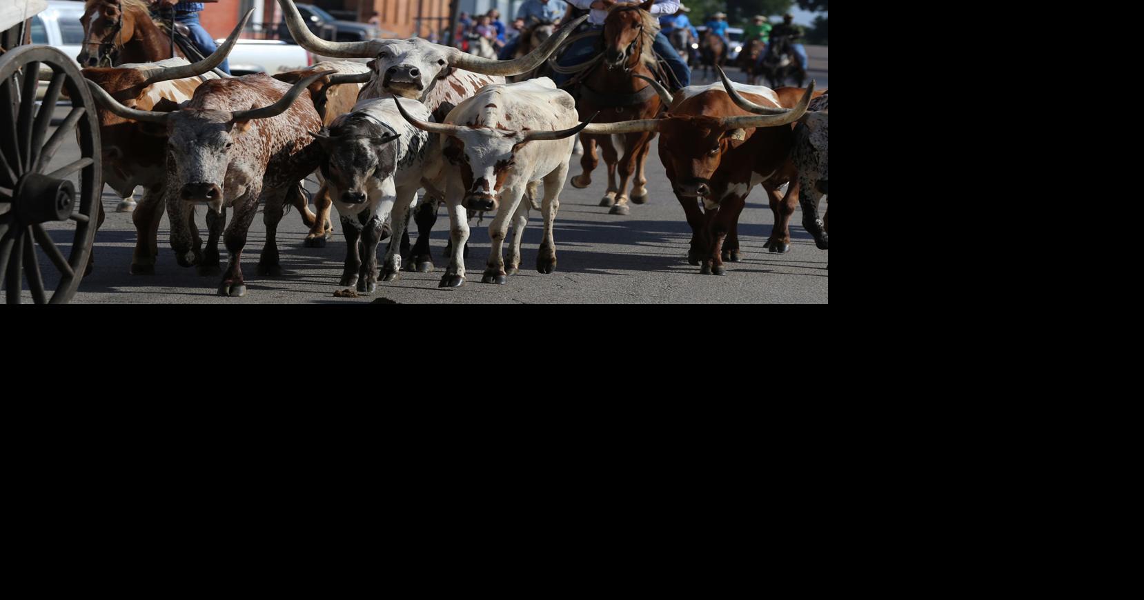 Waco-area news briefs: West Fair and Rodeo opens Friday