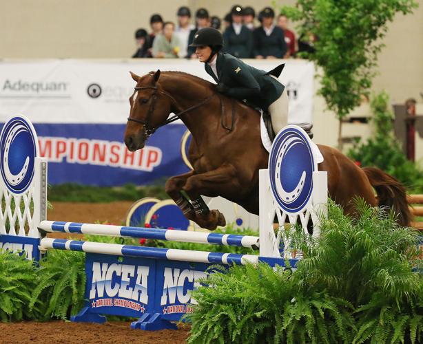 Georgia reins in Baylor in equestrian quarterfinals, 10-6