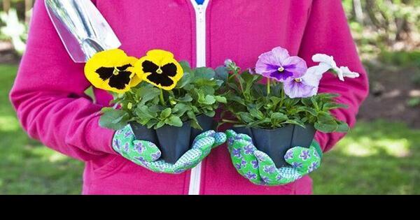 Waco-area news briefs: Master Gardeners accepting internship applications