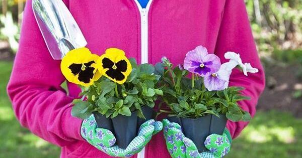 Waco-area news briefs: Master Gardeners accepting internship applications Waco-area news briefs: Master Gardeners accepting internship applications