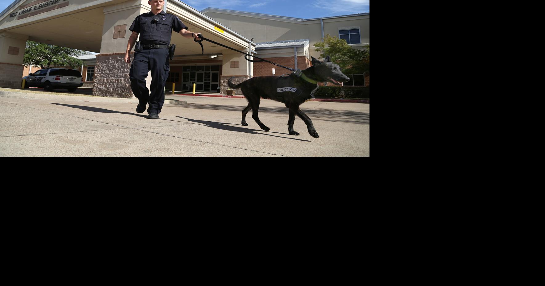Waco ISD introduces new police dog