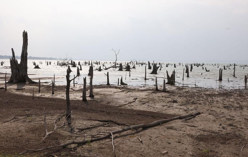 Lake Waco nearly 6 feet down; rain needed to avert city drought measures