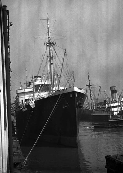 Harry Harelik: The Holocaust and the United States