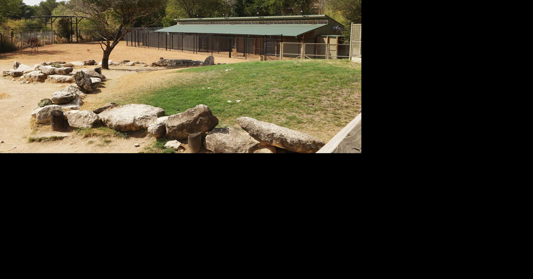 County funds Cameron Park Zoo project overages with two birds, one ...