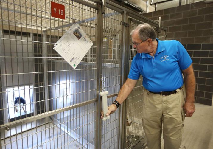 Dogs move into new digs at Waco Animal Shelter