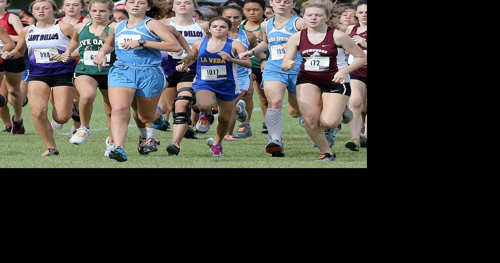 High school notebook: Area cross country runners going back to HOT track