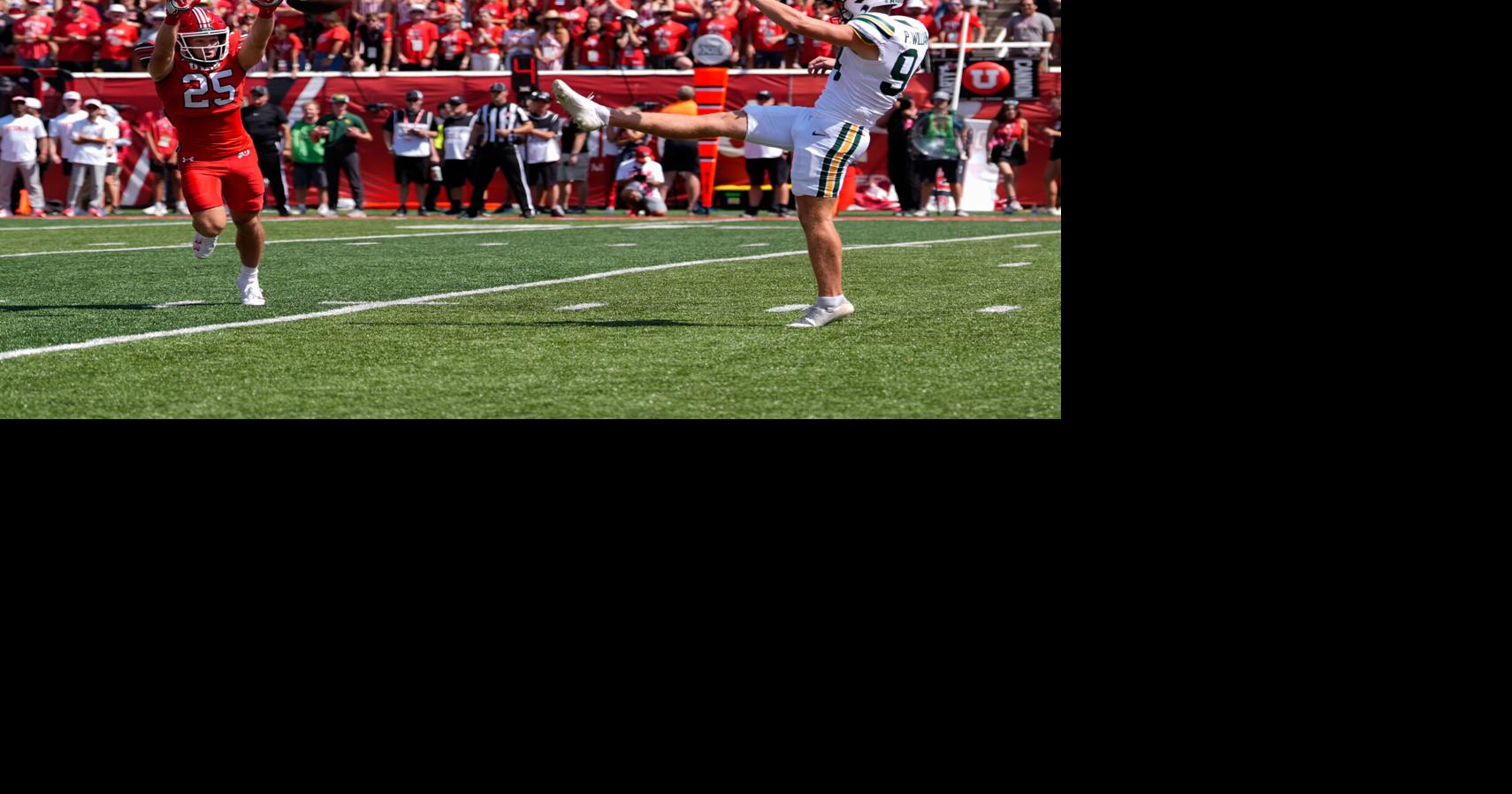 Baylor punter Palmer Williams an athlete who happens to kick