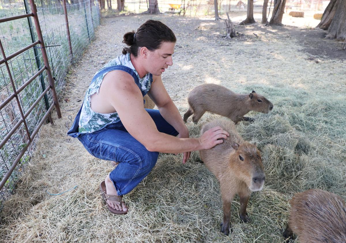 Urban Rescue Ranch in Waco grows from BU grad's backyard