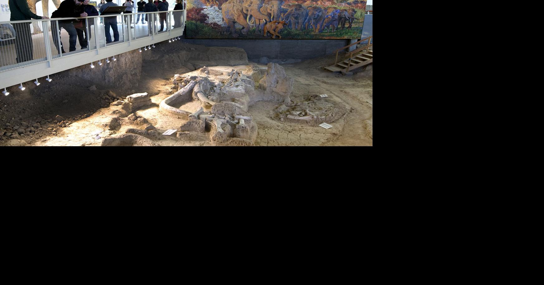 Waco mammoth site gala to mark 10 years as national monument