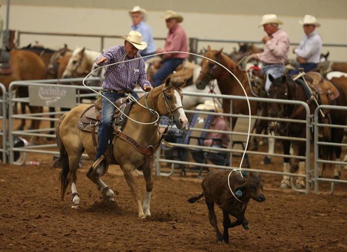 Senior rodeo