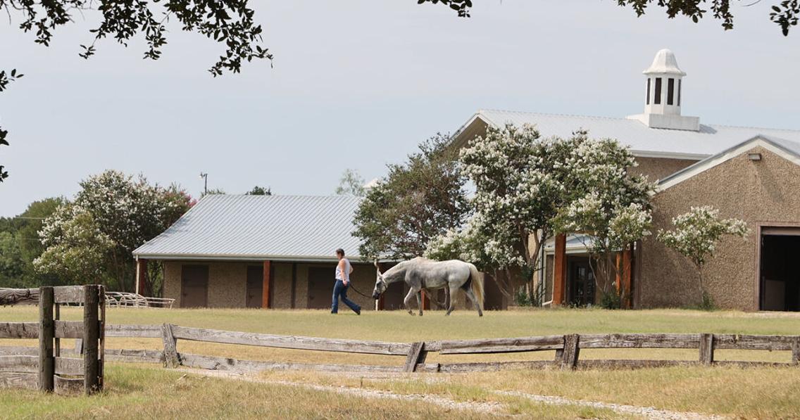 Frank Patterson to oversee MCC's Highlander Ranch operations