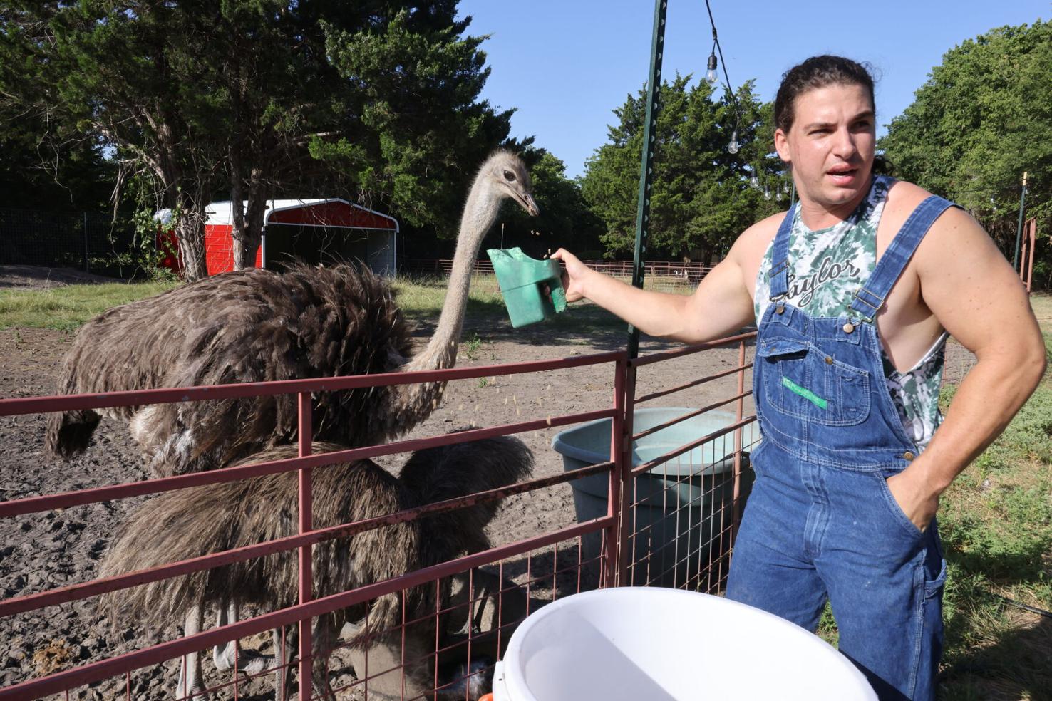Urban Rescue Ranch in Waco grows from BU grad's backyard