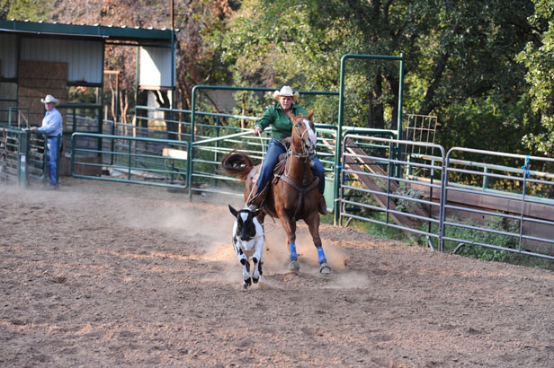 Women of rodeo: Roping