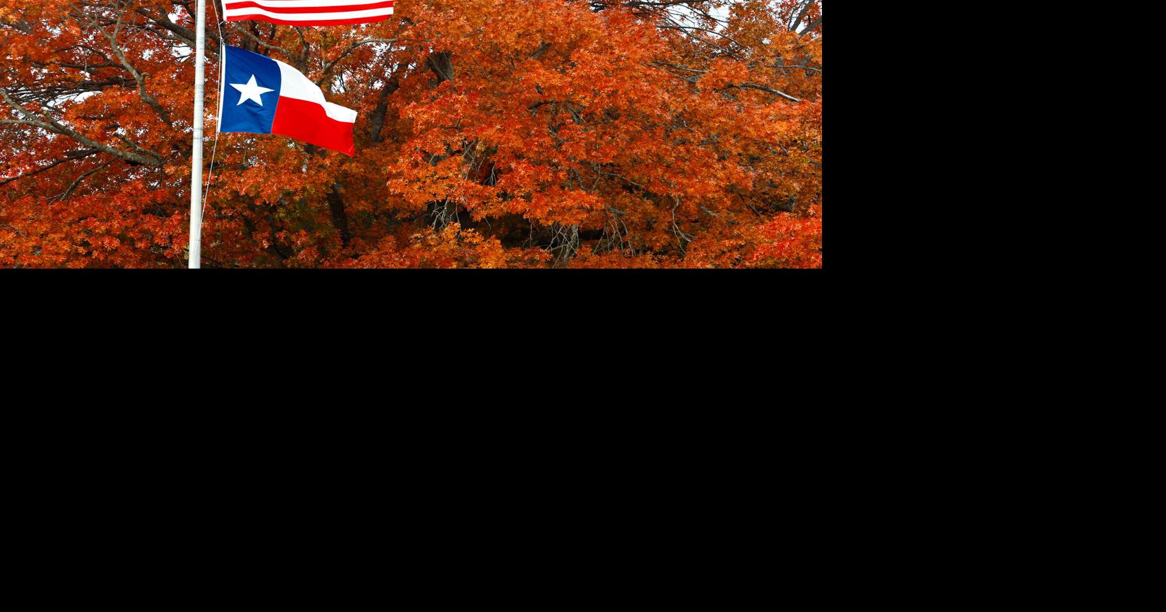 PHOTOS: Fall colors in Waco in time for Christmas