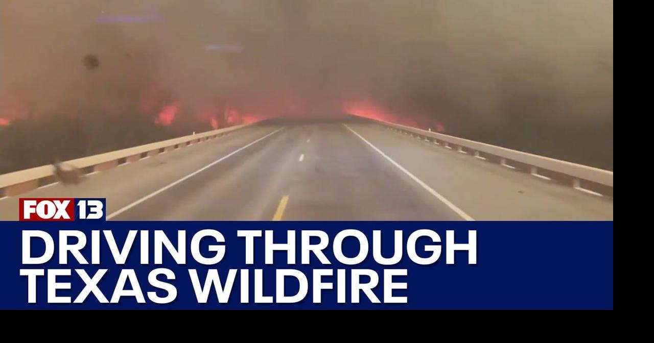 Xcel Energy acknowledges role in Smokehouse Creek wildfire