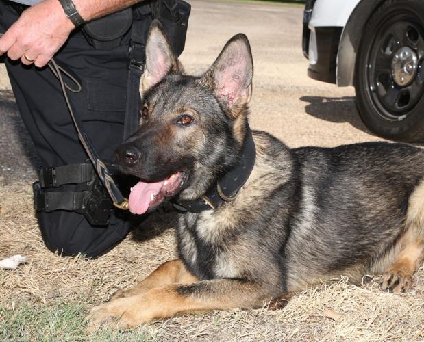 Donation brings K-9 officer to Valley Mills police