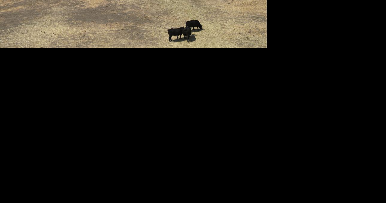 Farm briefs: CenTex Beef Symposium next week