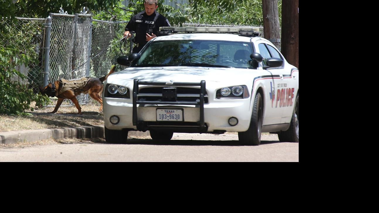 Police capture robbery suspects after ‘crime spree’ | Crime | wacotrib.com