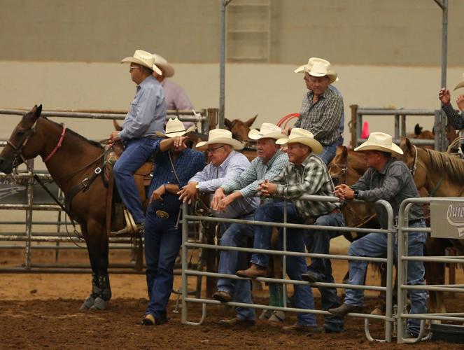 Senior rodeo