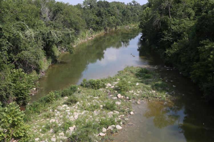 Bosque River dairies, Waco officials seeing progress, trust on water ...