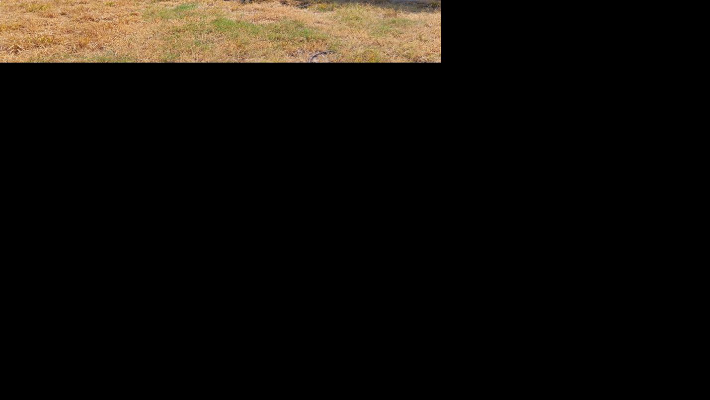 Brazos River Authority renames Waco headquarters