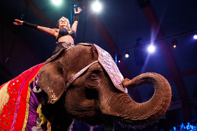 Carden Circus rolls, jumps, swings into Waco at Extraco Events Center