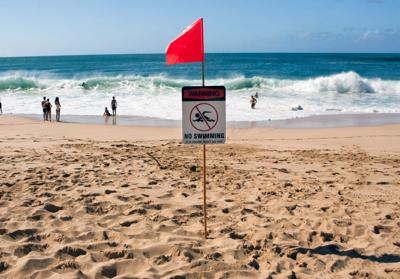 Hawaii reviving task force that places warning signs at dangerous ...