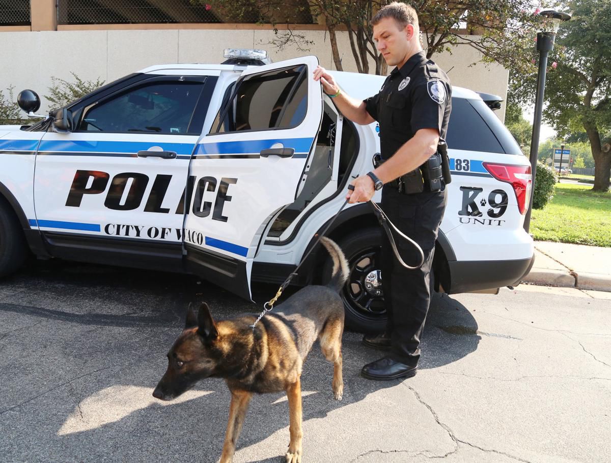 Waco police restart K-9 program after review prompted by dog's attack ...