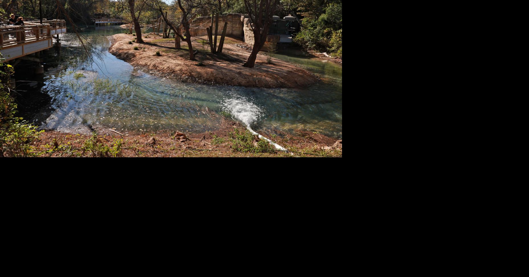 More leaks delay lemur, gibbon exhibit reopening at Waco zoo