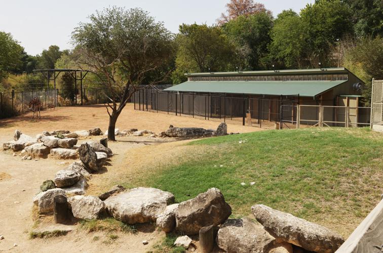 Zoo fixtures depart amid strife between zoo supporters, city leadership ...