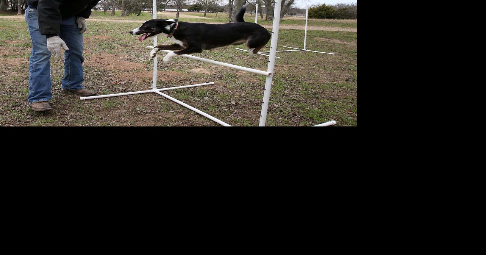 Supporters rally to keep Waco dog park open