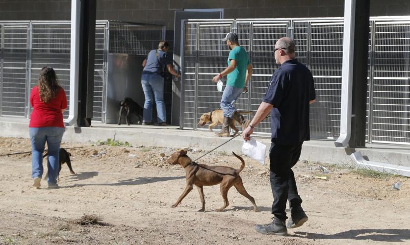 Dogs move into new digs at Waco Animal Shelter