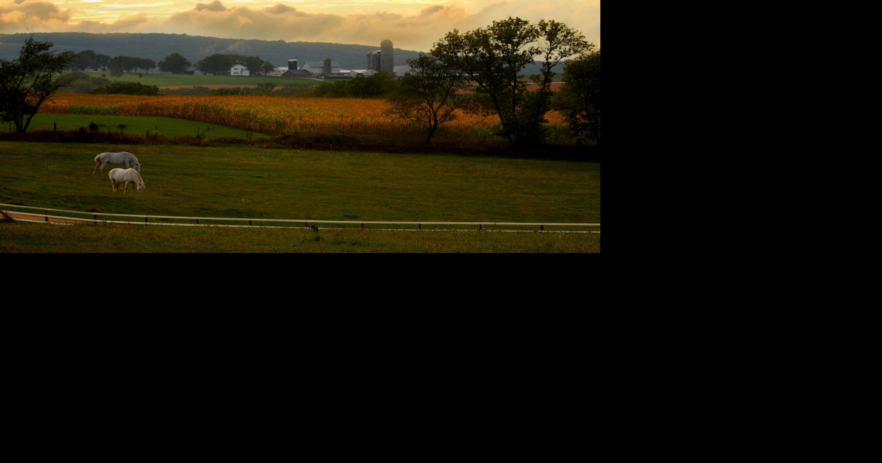 Joe Guzzardi: If US moves from ‘high’ to ‘low’ immigration, population ...