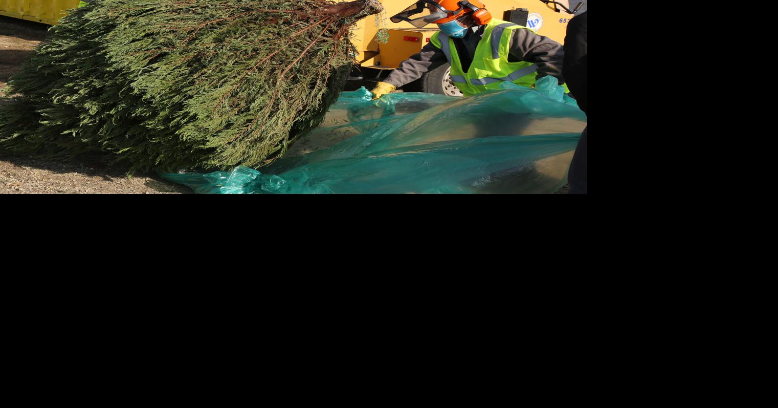 Waco-area news briefs: Chipping of the Green tree recycling set for ...