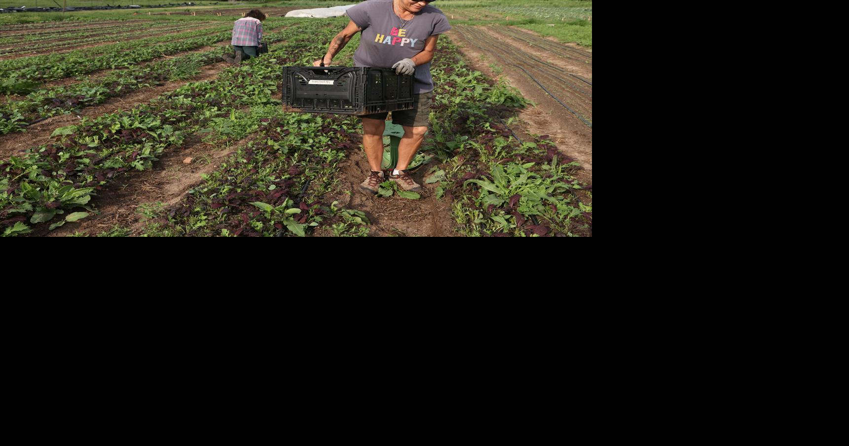 World Hunger Relief farm looks ahead in providing food, education for ...