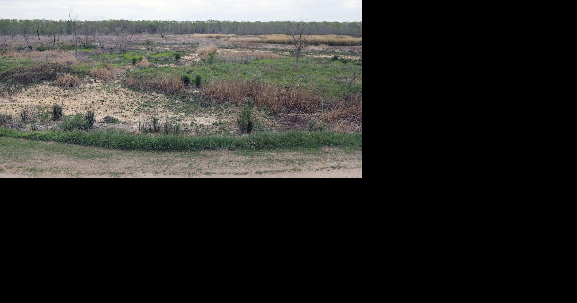 Waco-area news briefs: Master Gardeners event to feature Lake Waco ...