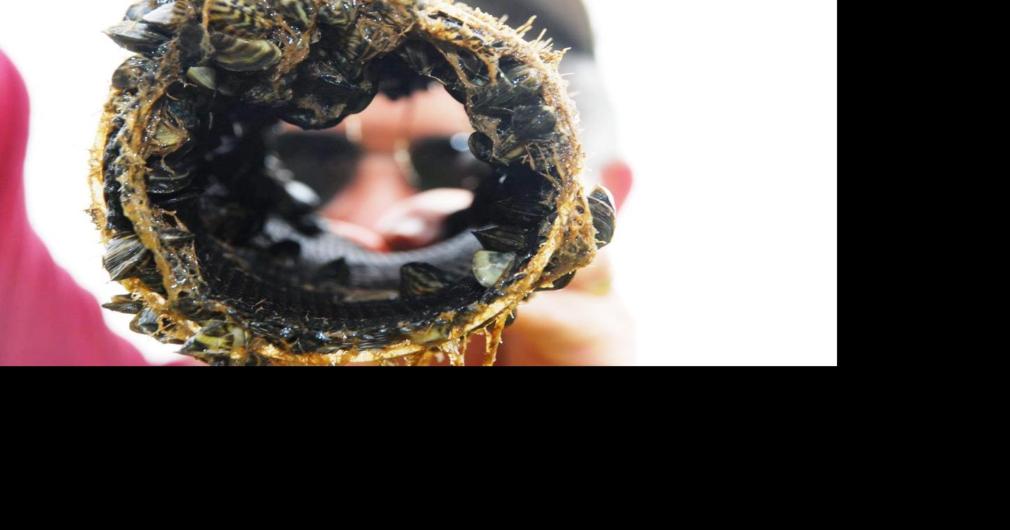 EDITORIAL: Despite commendable city boat inspections, Lake Waco now ...