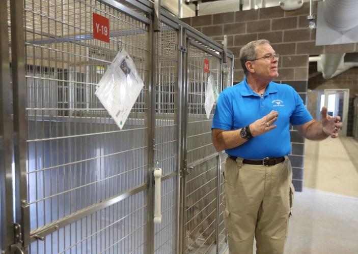 Dogs move into new digs at Waco Animal Shelter