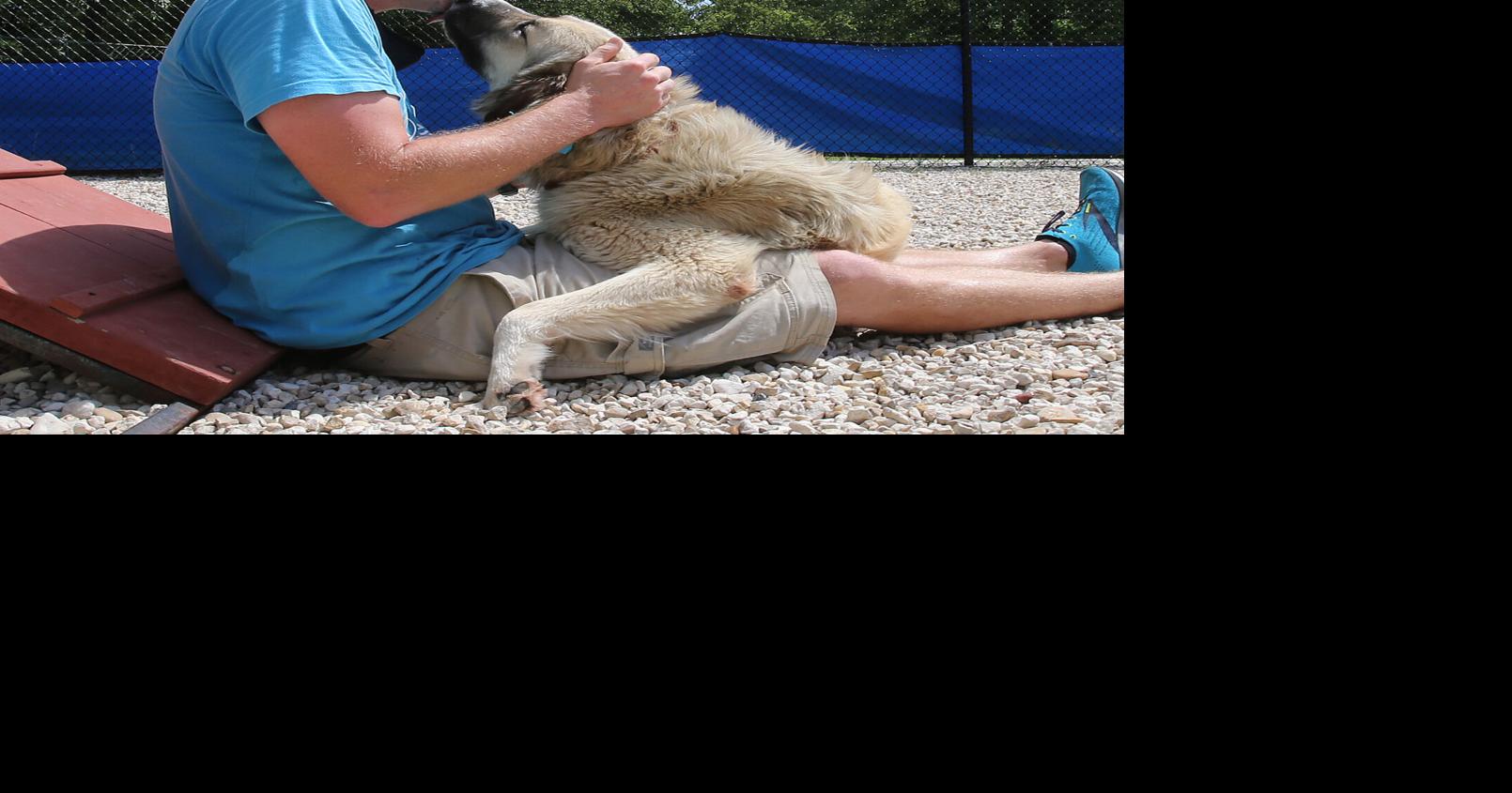 Waco animal shelter hitting capacity after storms
