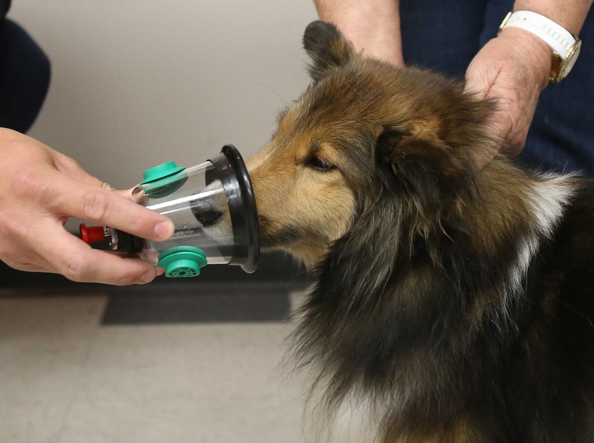 Animal group donates pet oxygen masks to local firefighters