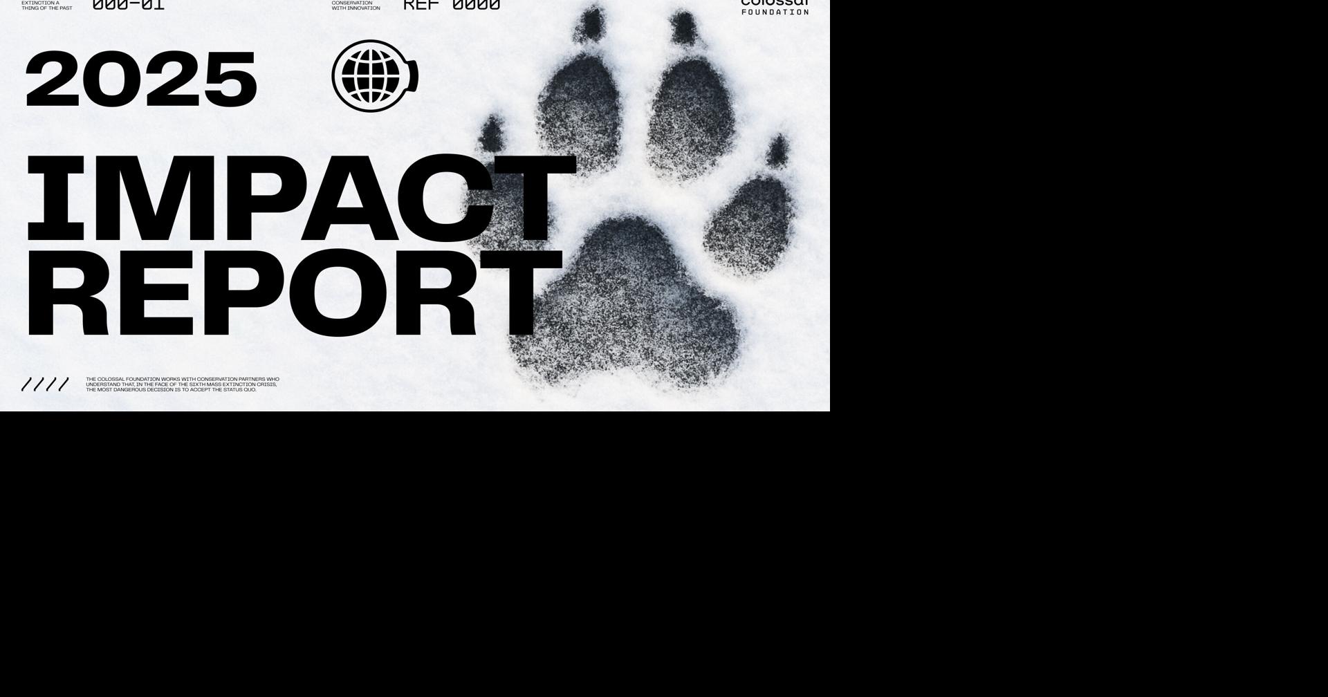 The Colossal Foundation Doubles Funding to $100 Million to Prevent Mass ...