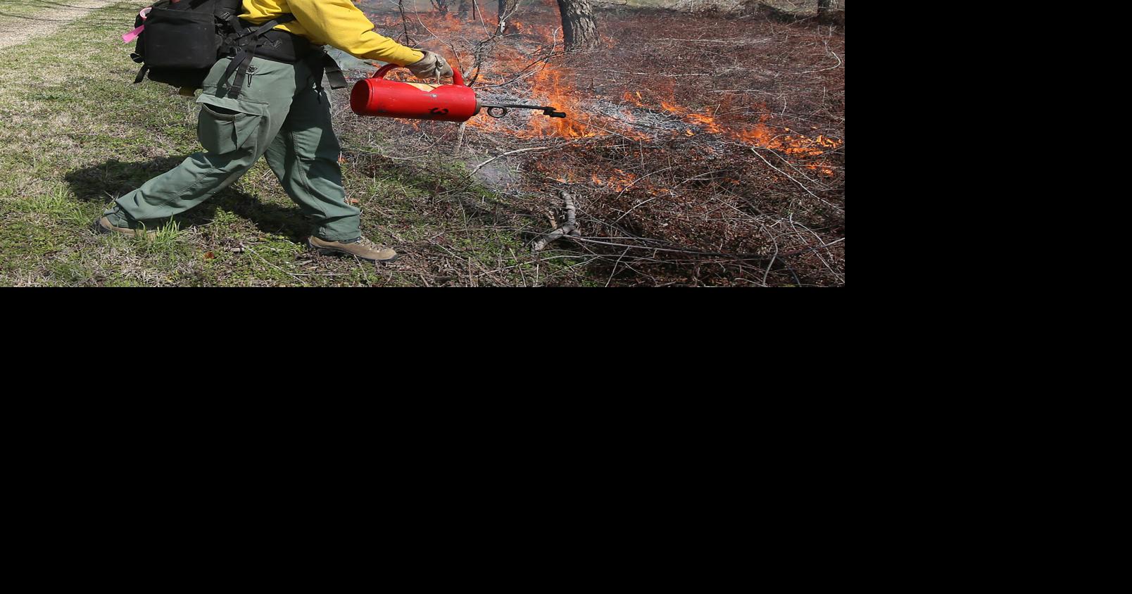 Lake Waco Wetlands burn a roaring success