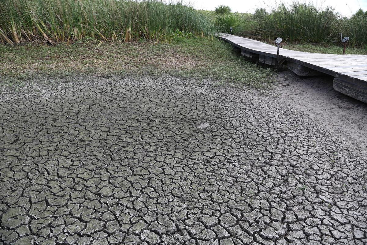 Thirsty Waco breaks another weather record with less than half normal ...