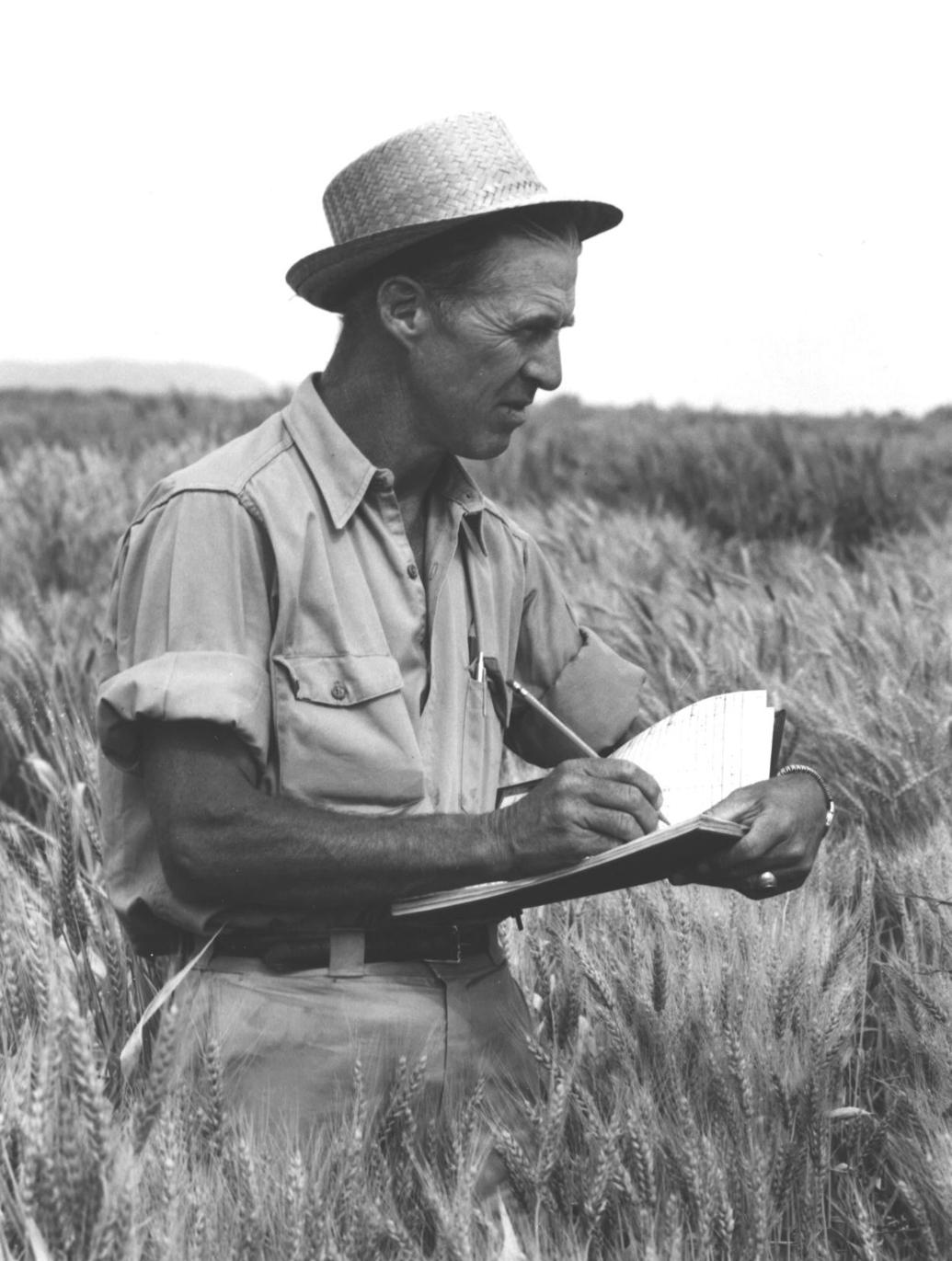 Texas History Minute: Norman Borlaug’s work saved lives from famine