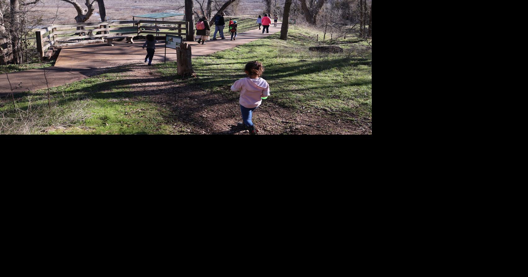Lake Waco Wetlands night hikes to wrap up Friday